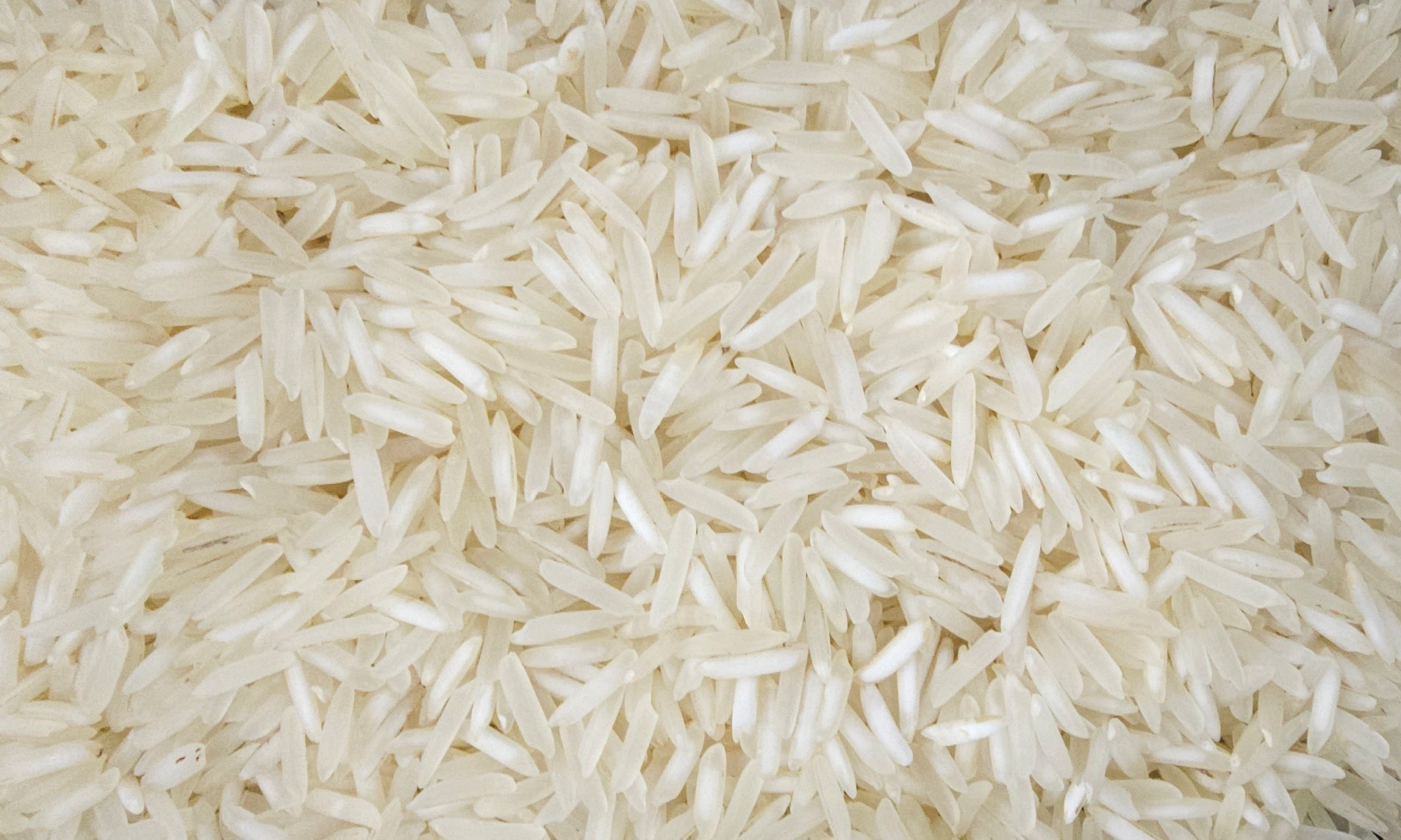 Indian Basmati Rice Exporter in India | Janki Dass Rice Mills